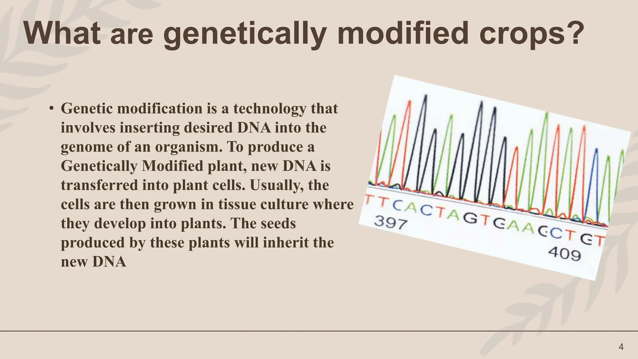Ethical issues associated with Genetically Modified Crops and Genetically Modified foods.pptx