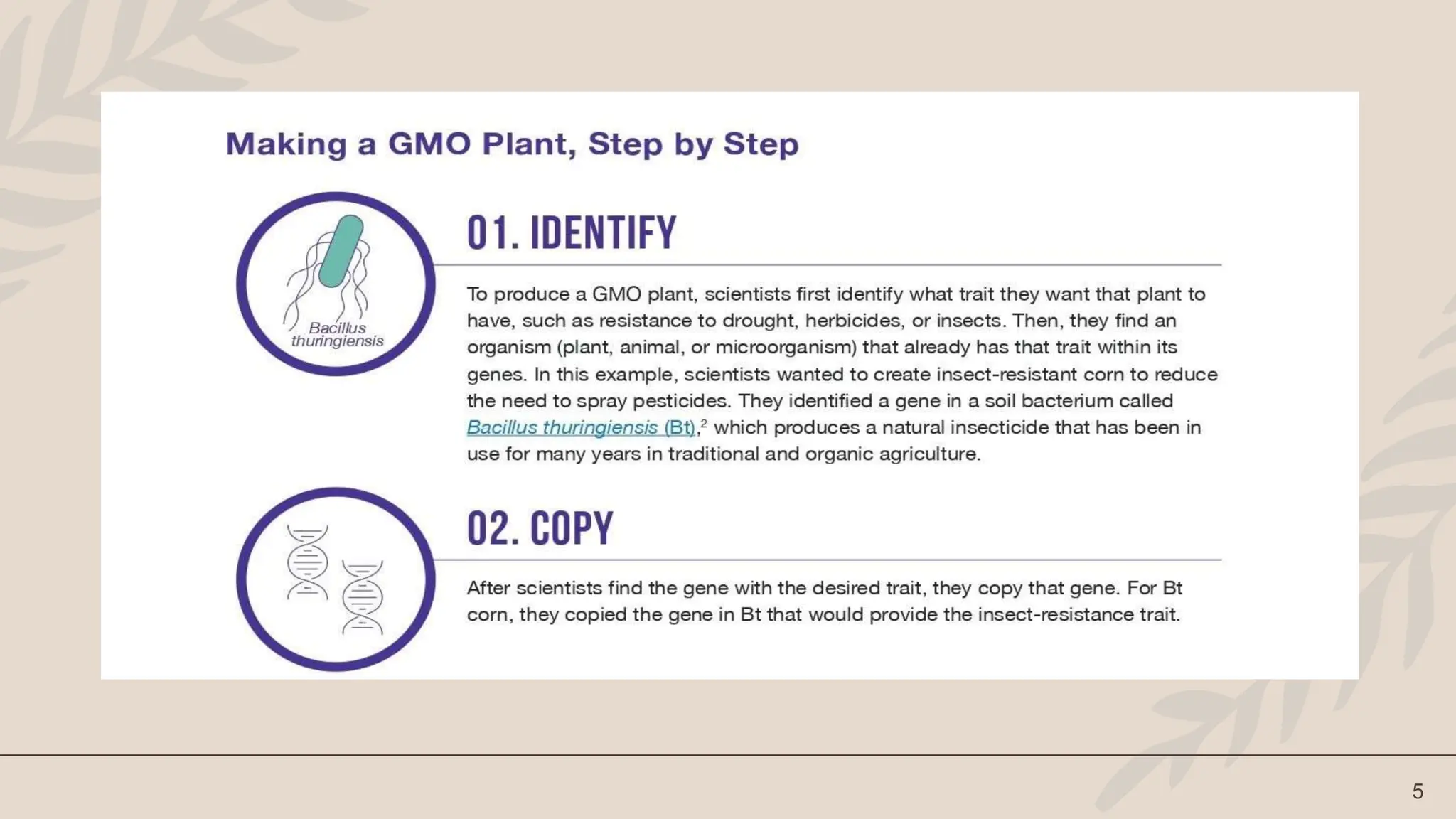 Ethical issues associated with Genetically Modified Crops and ...