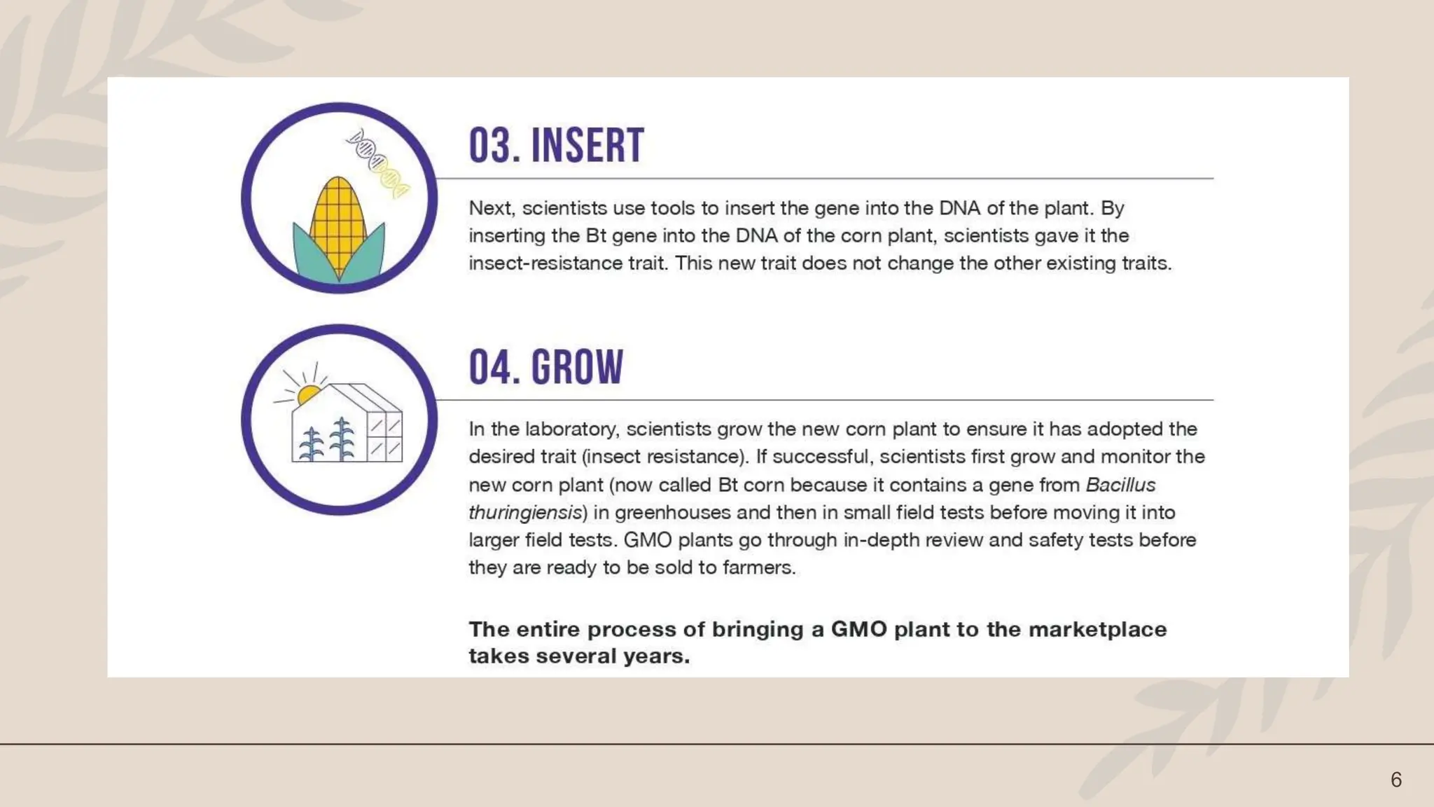 Ethical issues associated with Genetically Modified Crops and ...