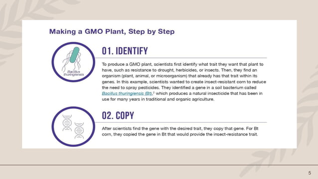 Ethical issues associated with Genetically Modified Crops and ...