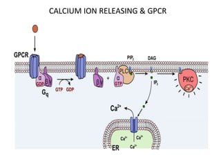 Seminar gpcr ppt | PPT