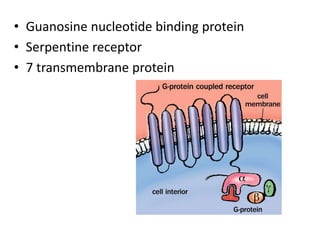 Seminar gpcr ppt | PPTX