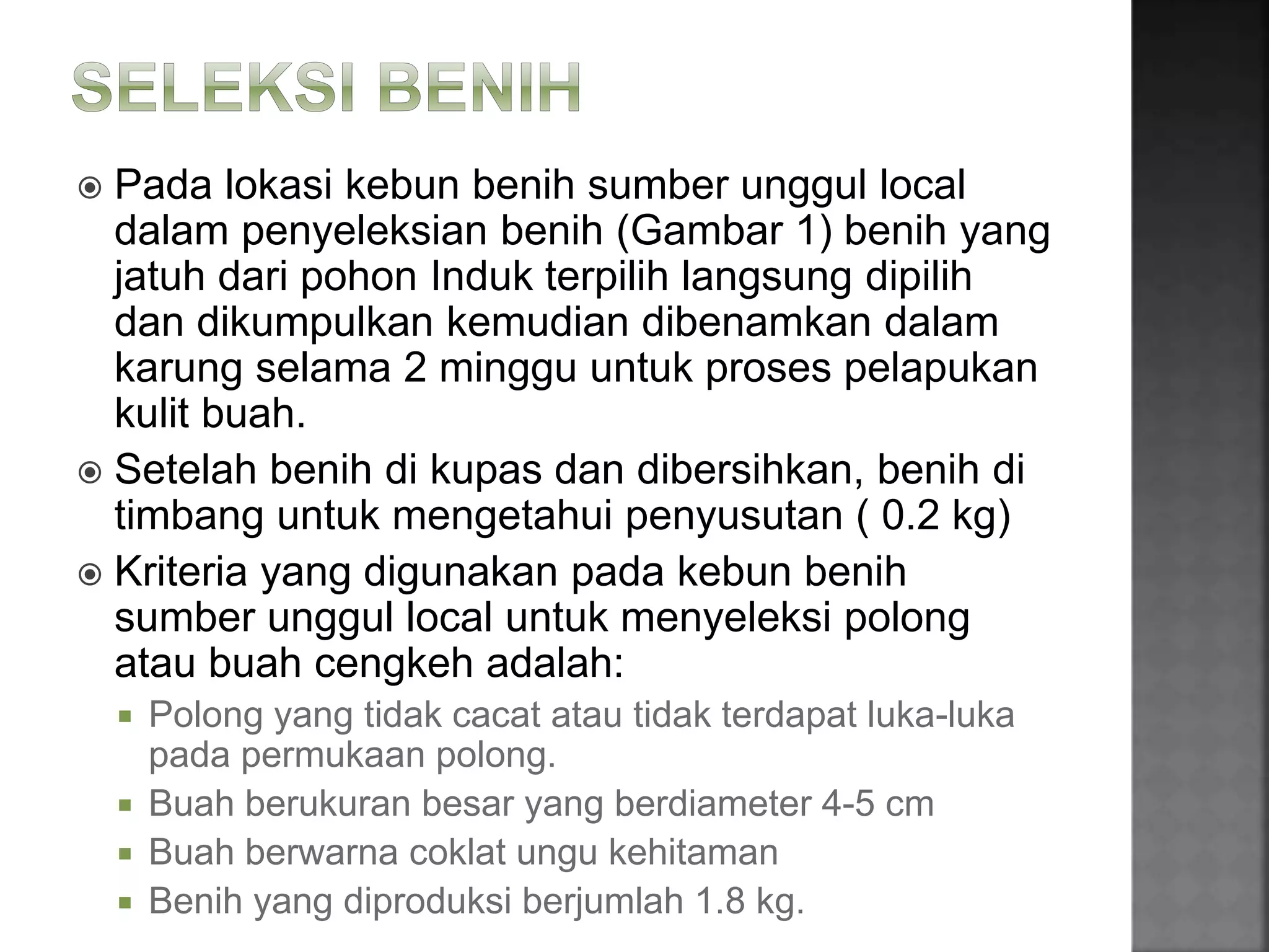 Teknik Seleksi Benih dan Bibit Cengkeh (Syzygium aromaticum L) di Kebun ...