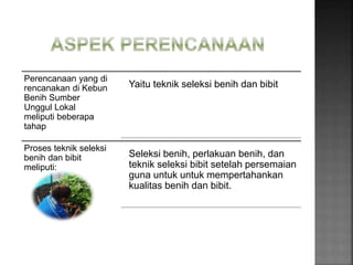 Teknik Seleksi Benih dan Bibit Cengkeh (Syzygium aromaticum L) di Kebun ...
