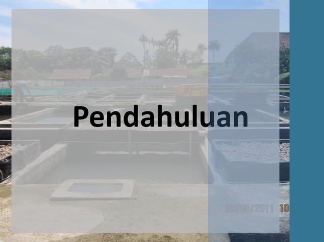 Bioakumulasi logam berat tembaga (Cu) pada ikan Nila (Oreochromis ...