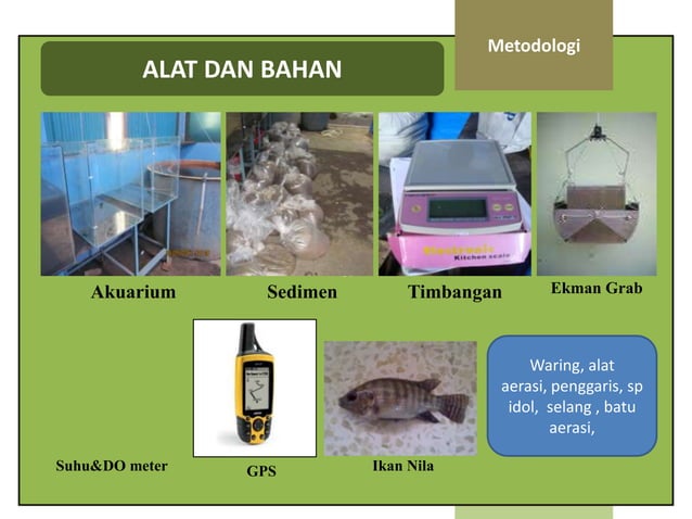 Bioakumulasi logam berat tembaga (Cu) pada ikan Nila (Oreochromis ...