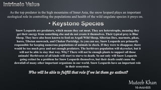 Snow leopard Conservancy | PPTX