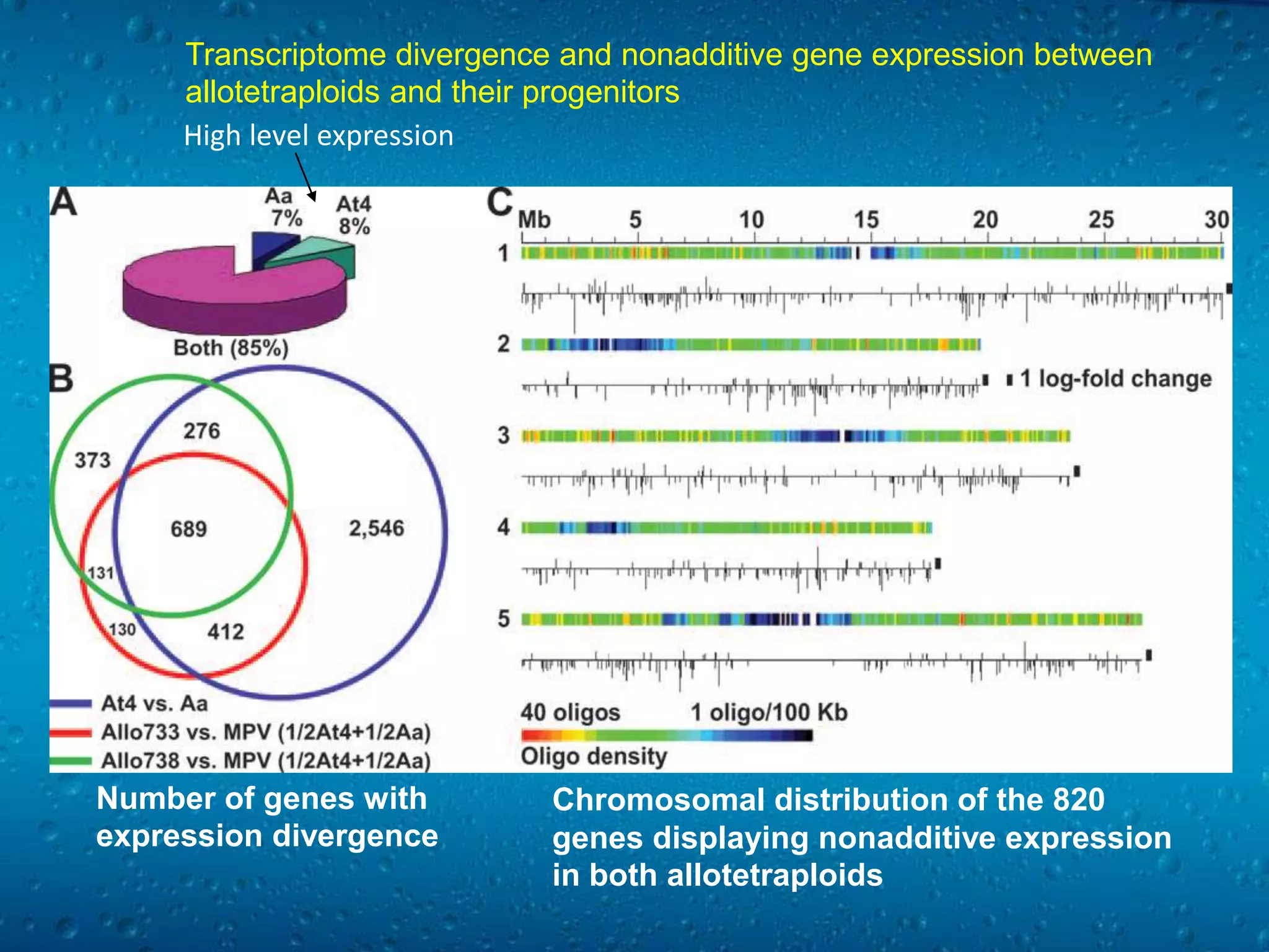 Molecular basis of heterosis in crop plants | PPTX
