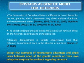 Molecular basis of heterosis in crop plants | PPTX