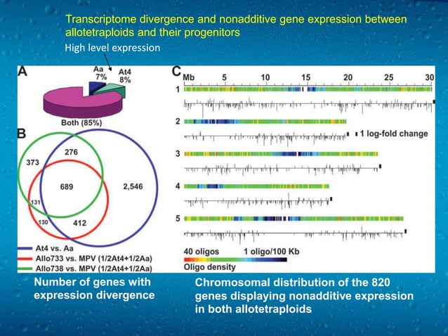 Molecular basis of heterosis in crop plants | PPTX | Gardening | Home ...
