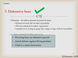 Defence in stingless bees | PPTX