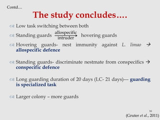 Defence in stingless bees | PPTX