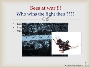 Defence in stingless bees | PPTX