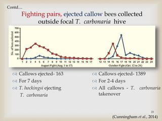 Defence in stingless bees | PPTX