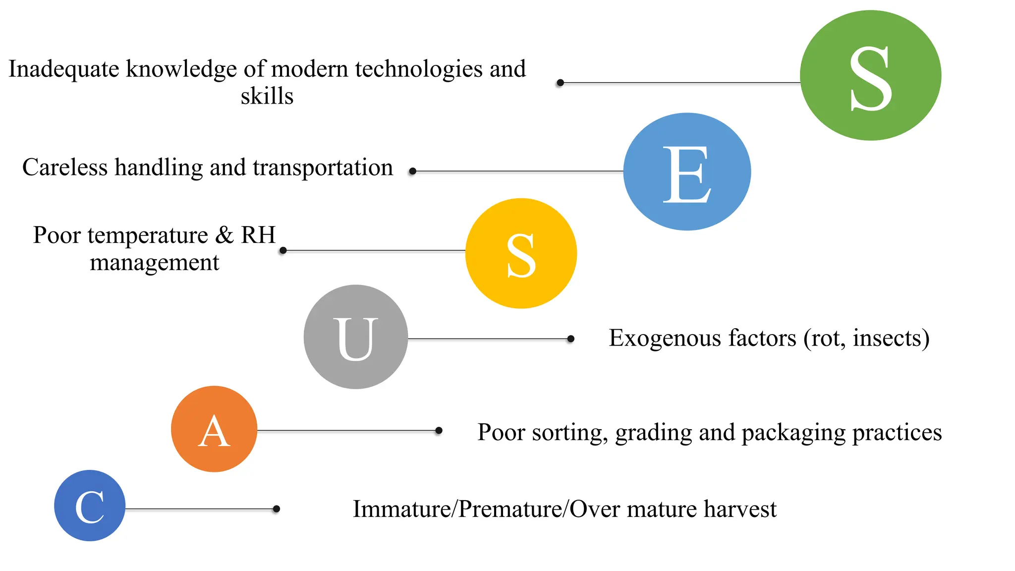 Use of sensor technology for real monitoring quality of vegetable crops ...
