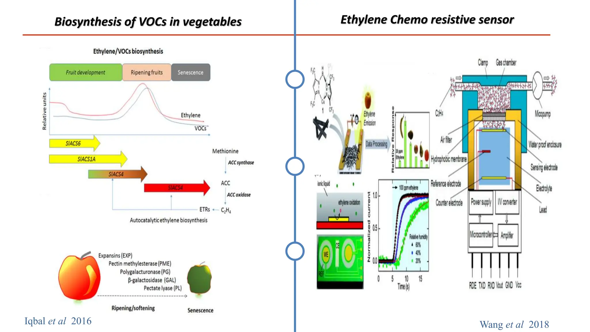 Use of sensor technology for real monitoring quality of vegetable crops ...
