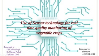 Use of sensor technology for real monitoring quality of vegetable crops ...