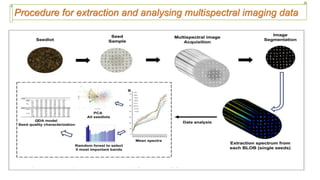 Use of sensor technology for real monitoring quality of vegetable crops ...