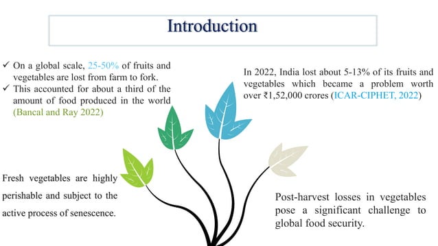 Use of sensor technology for real monitoring quality of vegetable crops ...