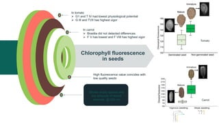 Use of sensor technology for real monitoring quality of vegetable crops ...