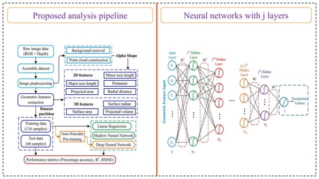 Use of sensor technology for real monitoring quality of vegetable crops ...