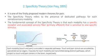 SEMINAR I & II PAIN PATHWAY.pptx