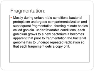 bacteria reproduction | PPT