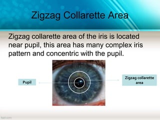 Seminar internasional Universitas Negeri Surakarta | PPT