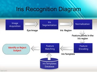 Seminar internasional Universitas Negeri Surakarta | PPT