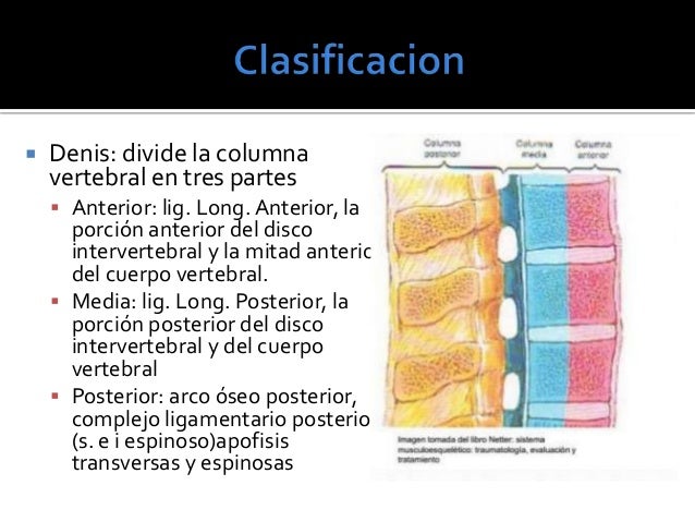 traumatologia columna vertebral