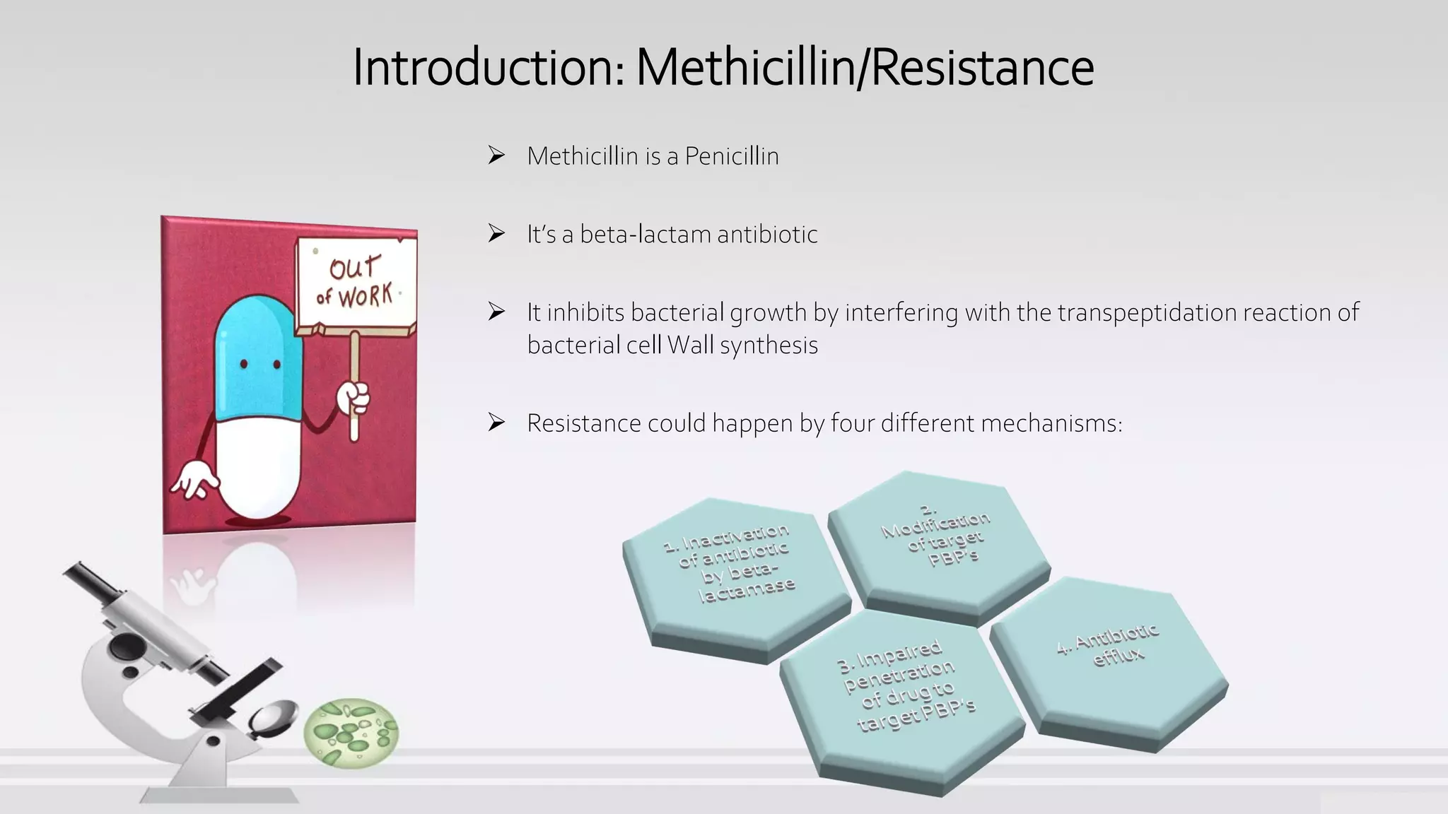 Staphylococcus Aureus in burn intensive care unit | PPT