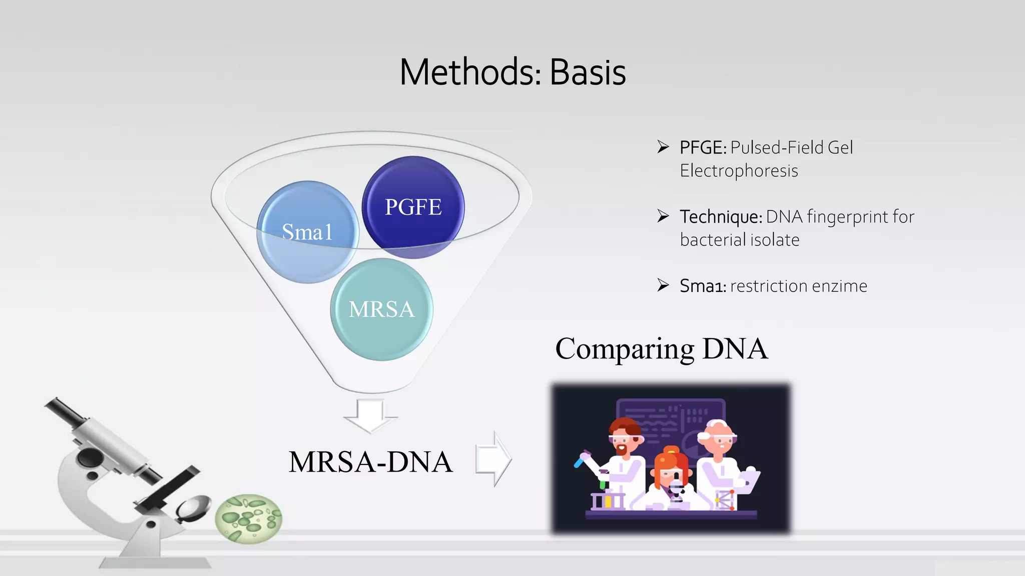 Staphylococcus Aureus in burn intensive care unit | PPT