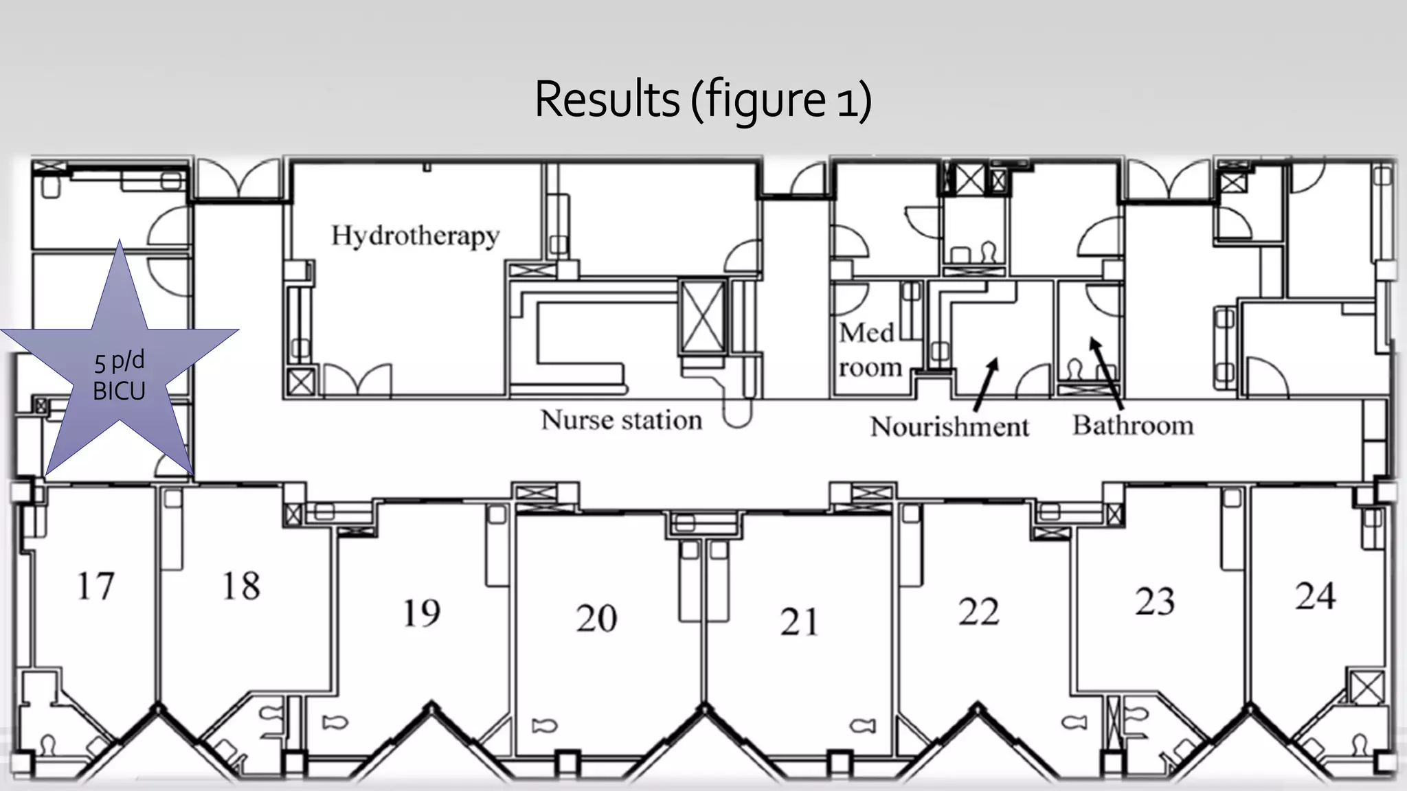 Staphylococcus Aureus in burn intensive care unit | PPT
