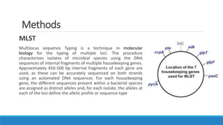 Seminario Biología Molecular | PPT