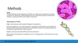 Seminario Biología Molecular | PPT