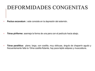Seminario del tórax | PPTX