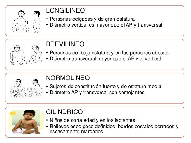 Seminario del tórax
