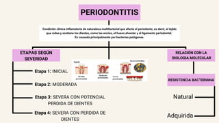 Seminario Camilo Isaza y Mariana Guarnizo | PPT