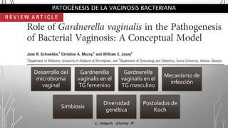 Vaginosis bacteriana | PPT