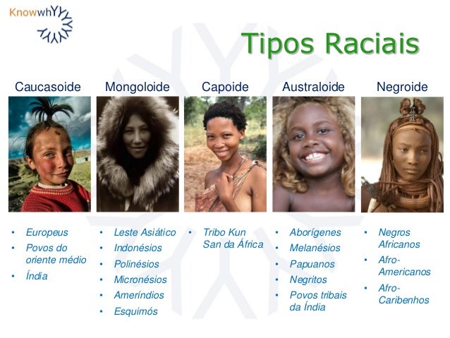 Seminário 08: A Diversidade na Pele