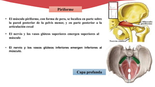 Región gluteaz.pptx