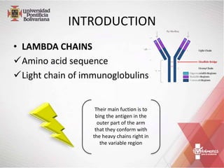 Clinical characteristics of a group of patients with multiple myeloma ...