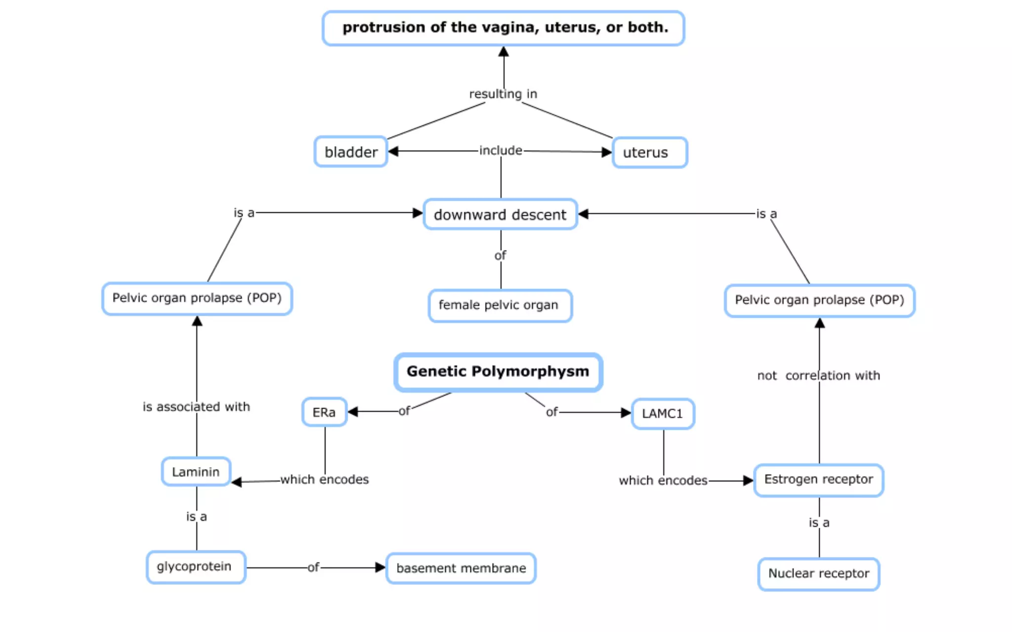 Estrogen receptor and laminin genetic polymorphism among women with ...