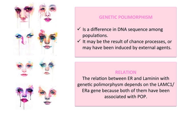 Estrogen receptor and laminin genetic polymorphism among women with ...