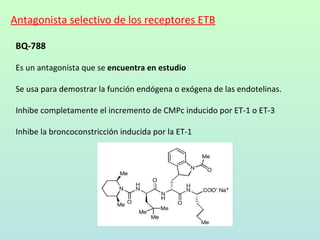Endotelinas | PPT