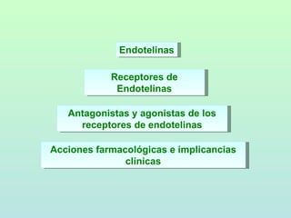 Endotelinas | PPT