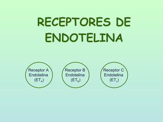 Endotelinas | PPT