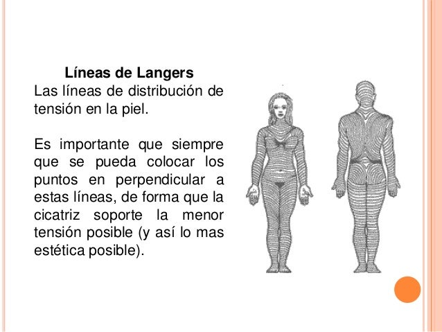 Nudos y Suturas