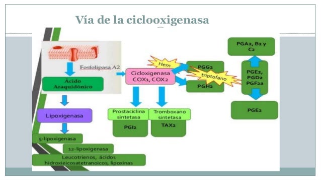 Seminario Aines