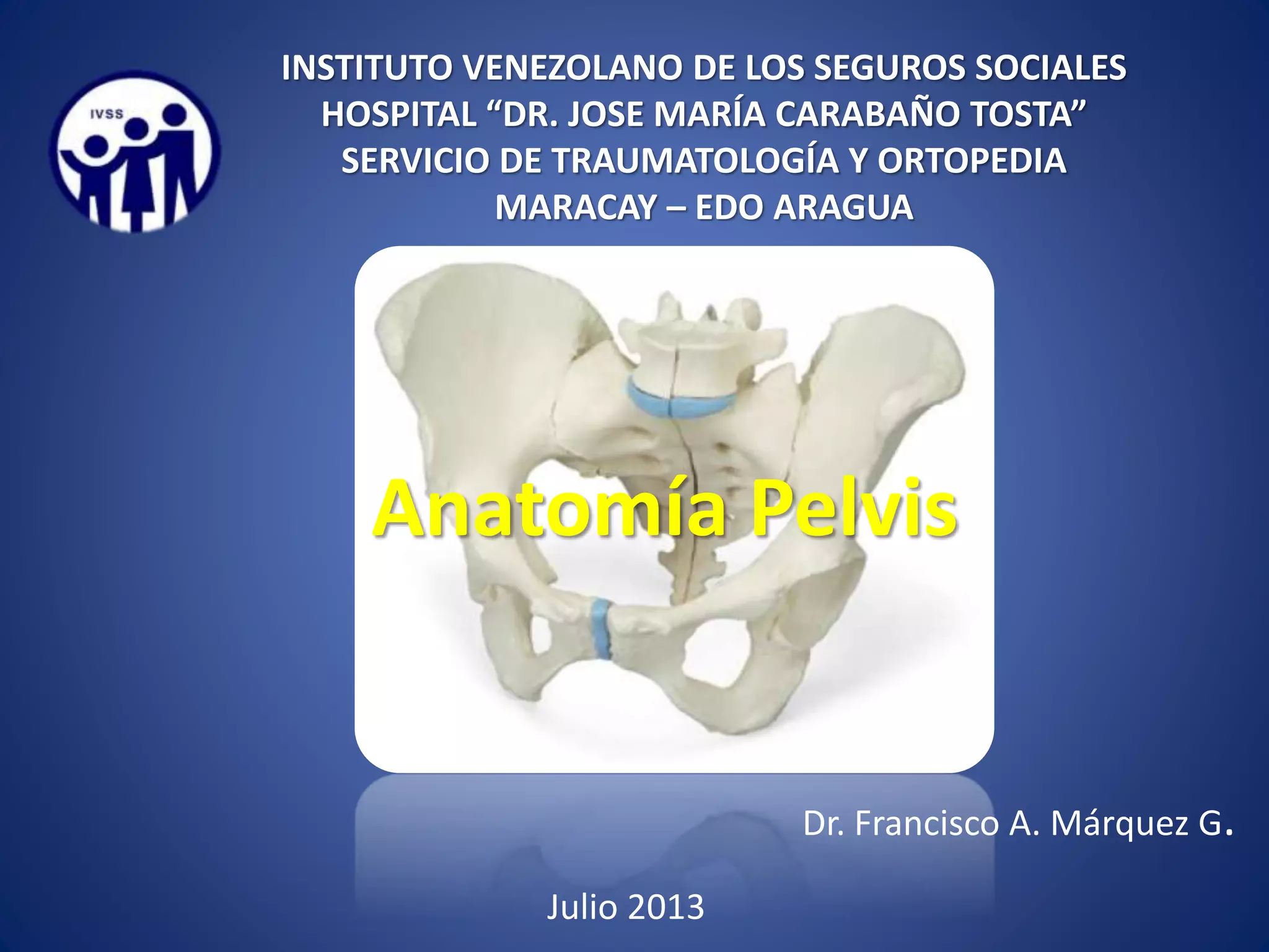 La Anatomía De La Pelvis